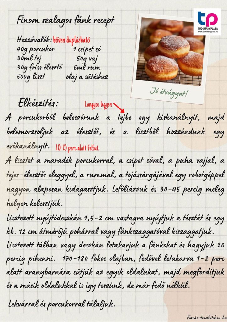 Fánk – A királyi lakoma eredete - TUDOMÁNYPLÁZA - Mindennapok
